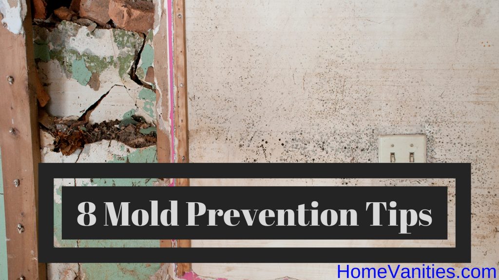 8 Mold Prevention Tips Homeowners Should Know - Home Vanities
